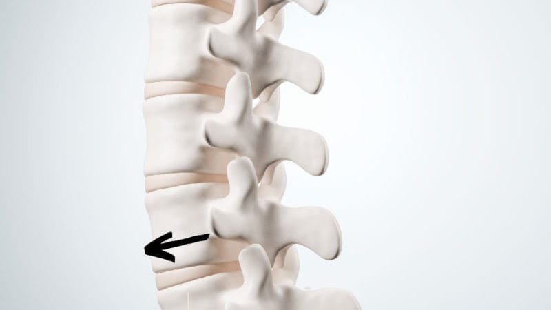 Book Openings Exercise - Your Step by Step Guide with Video!